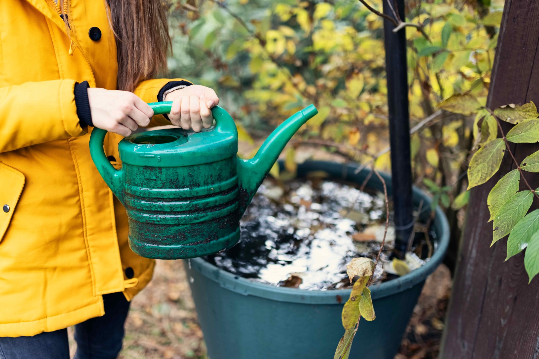 Regenwasser sammeln und für Garten und Haus nutzen